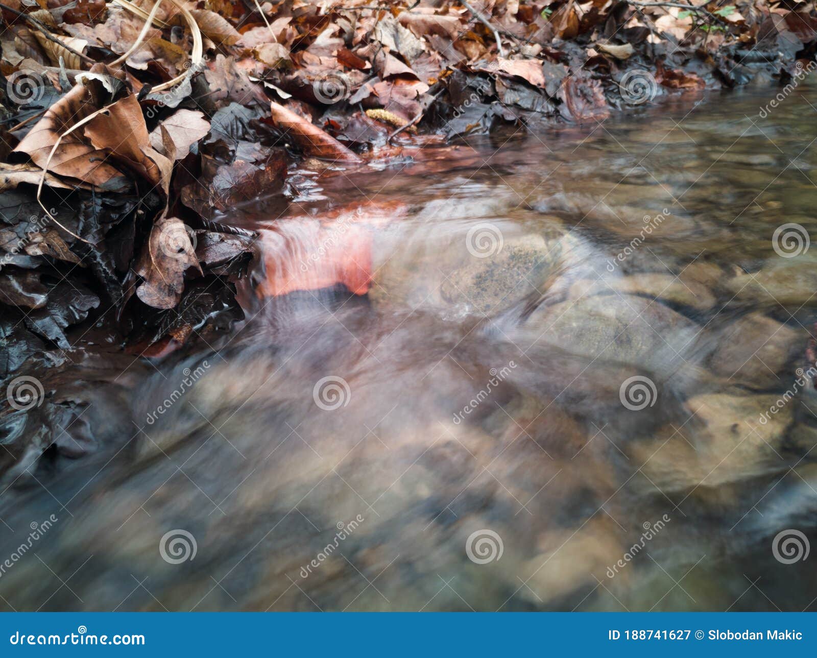 Close View of a Shallow Mountain Stream with a Stone Bottom Stock Image ...
