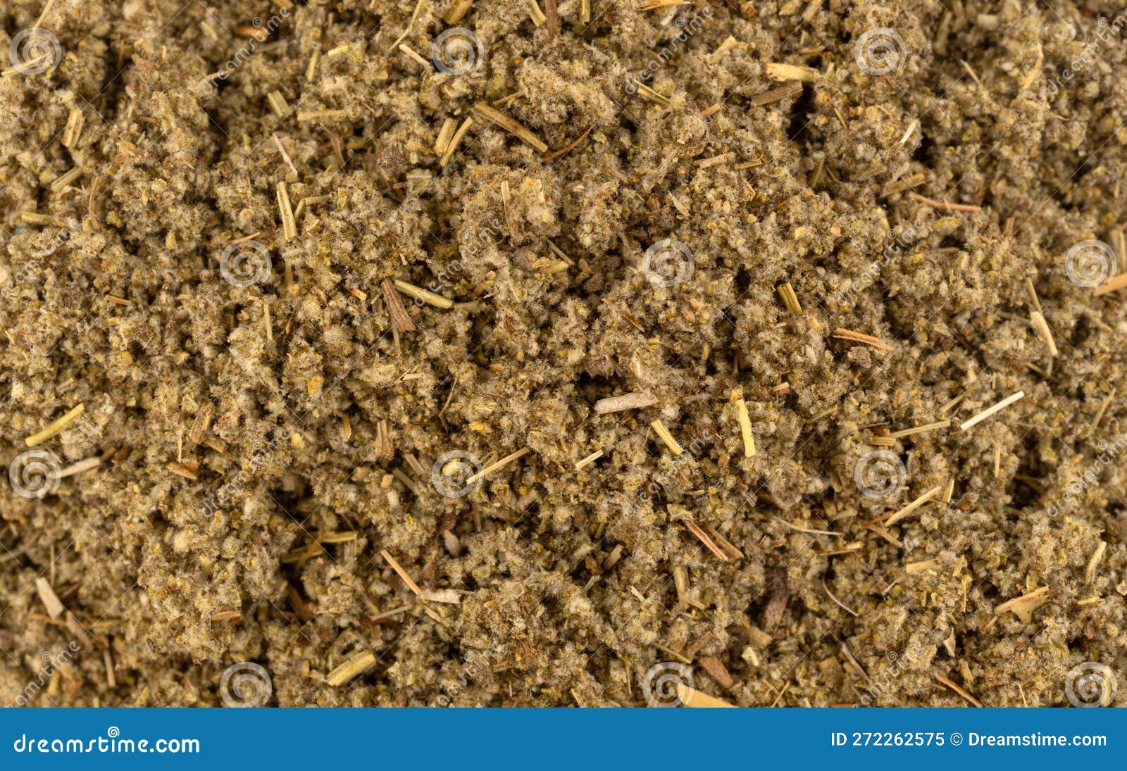 Small Portion Of Brazilian Beans On Isolated White Background, Pot With ...