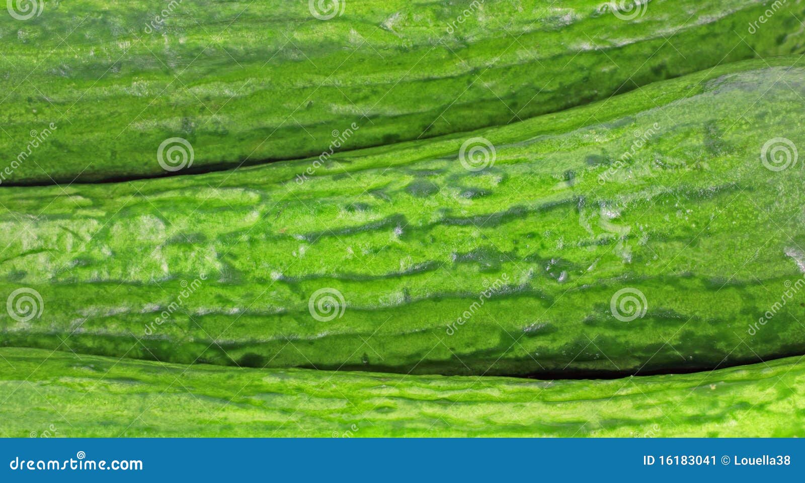 Close View Small Seedless Cucumbers Stock Image - Image of nutritious ...