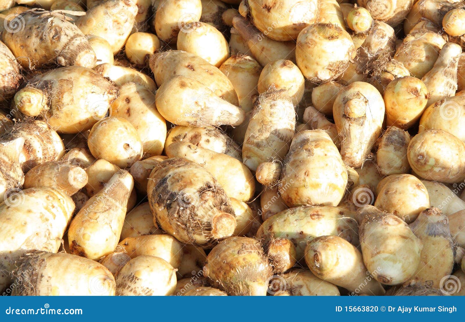 Taro Arvi Or Colocasia Esculenta Is Famous And Common Vegetable In ...