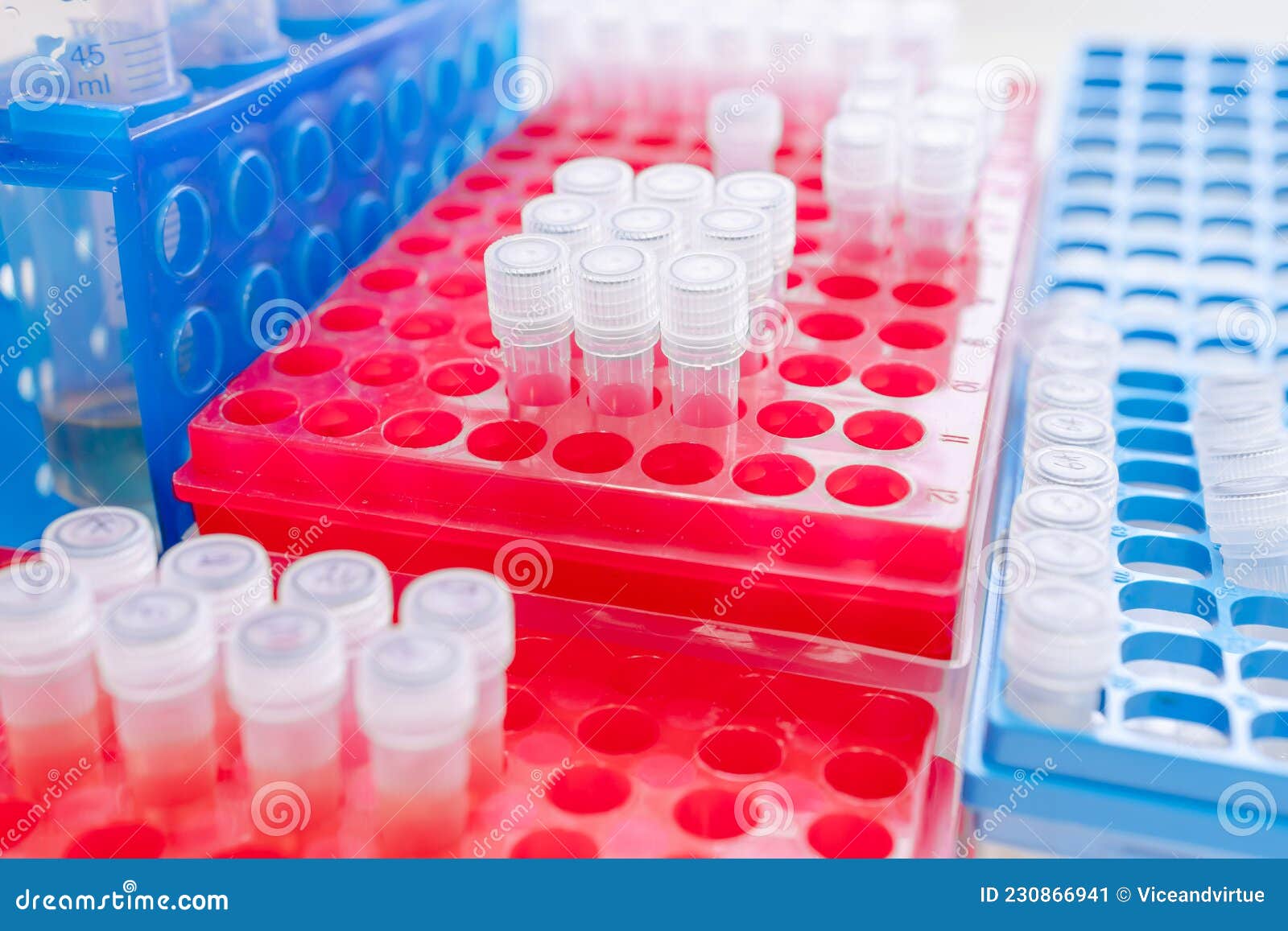 Close View of Trays with Different Test Tubes in Medical Laboratory ...