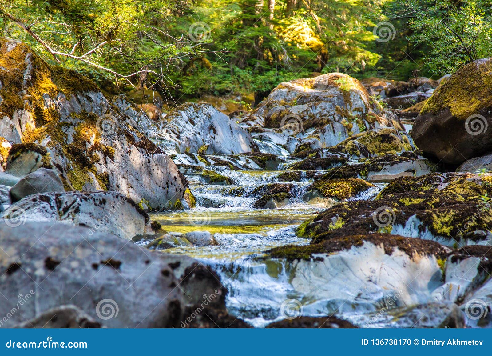 Close View at Water Streaming Down the Creek Bed at Opal Creek Stock ...
