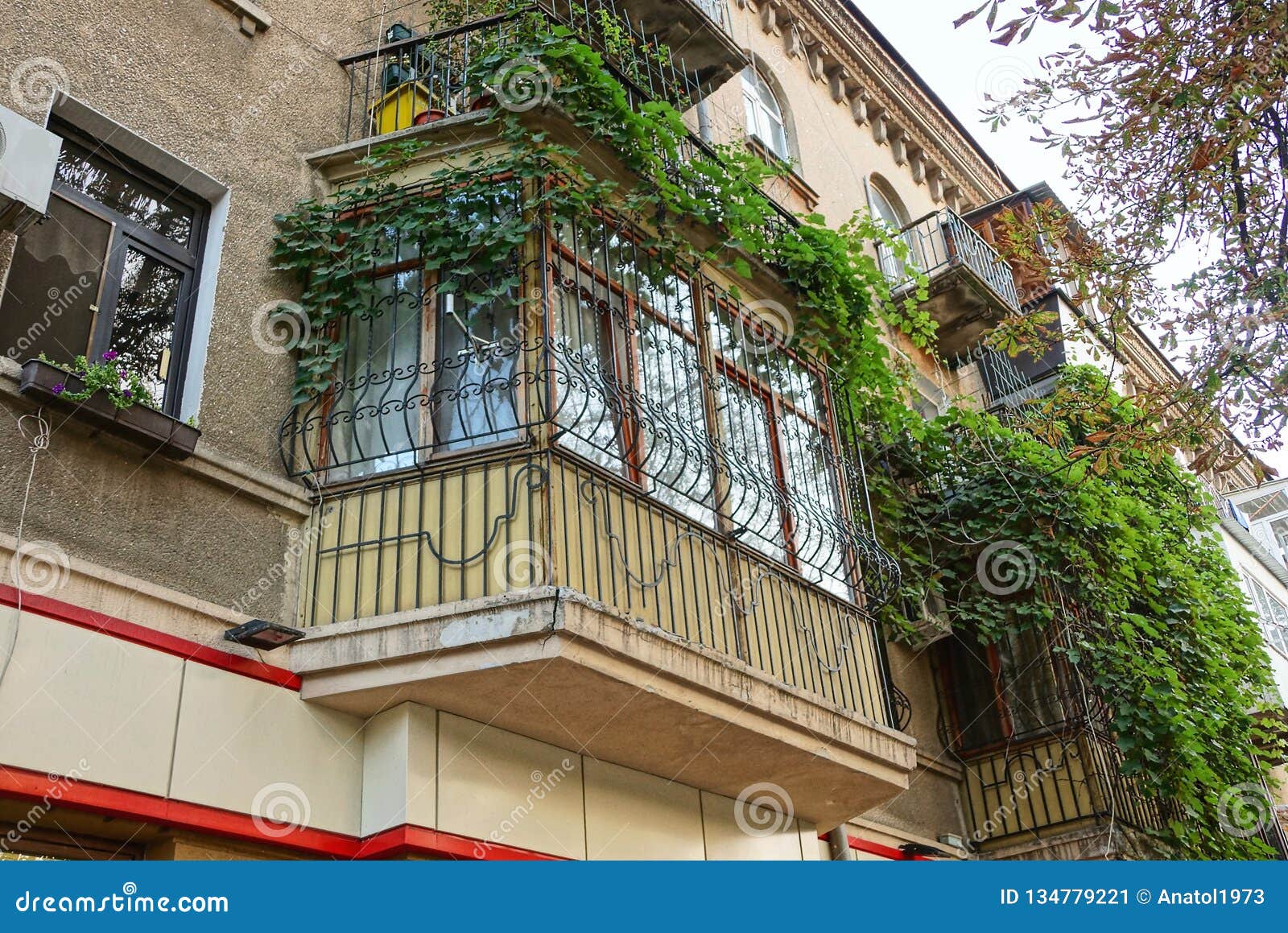 Closed Brown Balcony Overgrown with Green Plants Stock Image - Image of ...