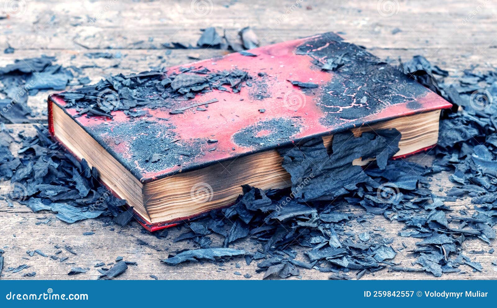 A Closed Burnt Book among the Ashes and Charred Book Pages Stock Image ...