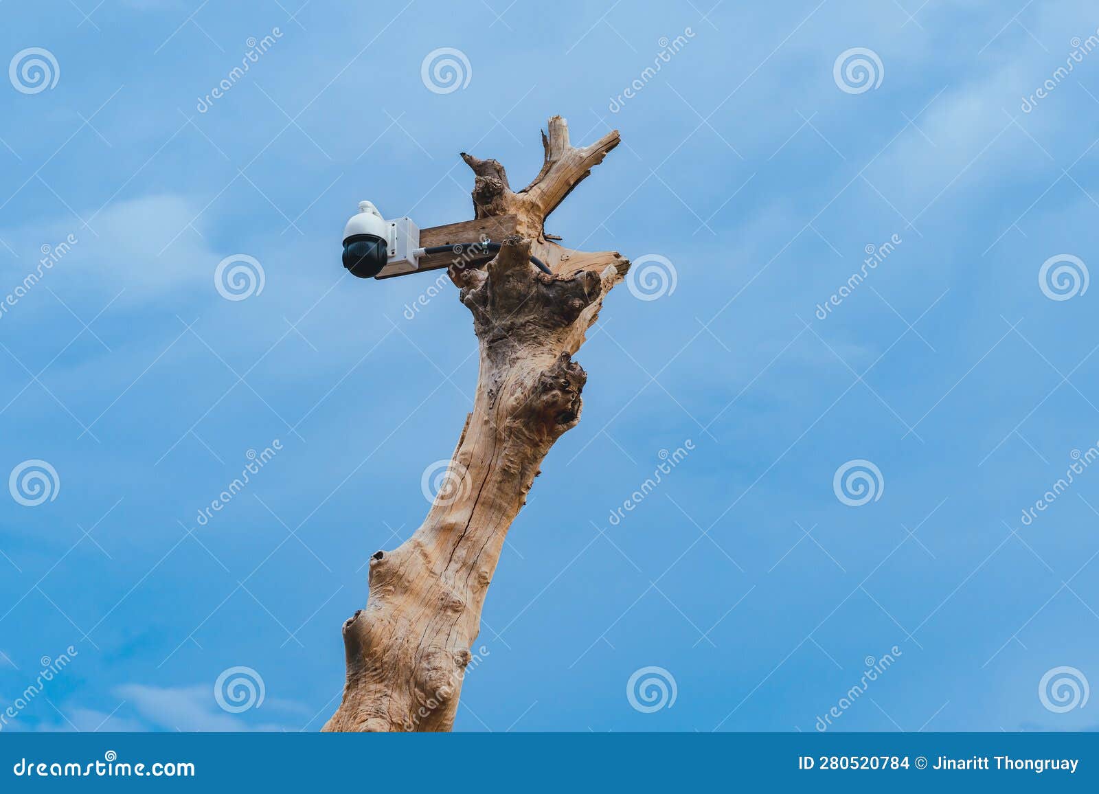 Closed Circuit Camera Multi-angle CCTV System Camera Installed on Dead ...