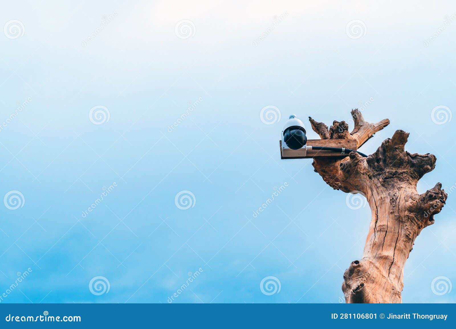 Closed Circuit Camera Multi-angle CCTV System Camera Installed on Dead ...