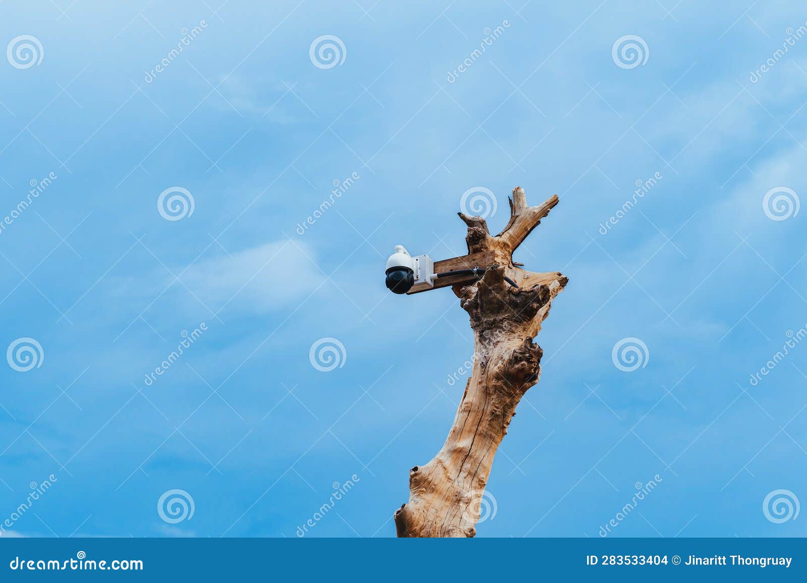 Closed Circuit Camera Multi-angle CCTV System Camera Installed on Dead ...