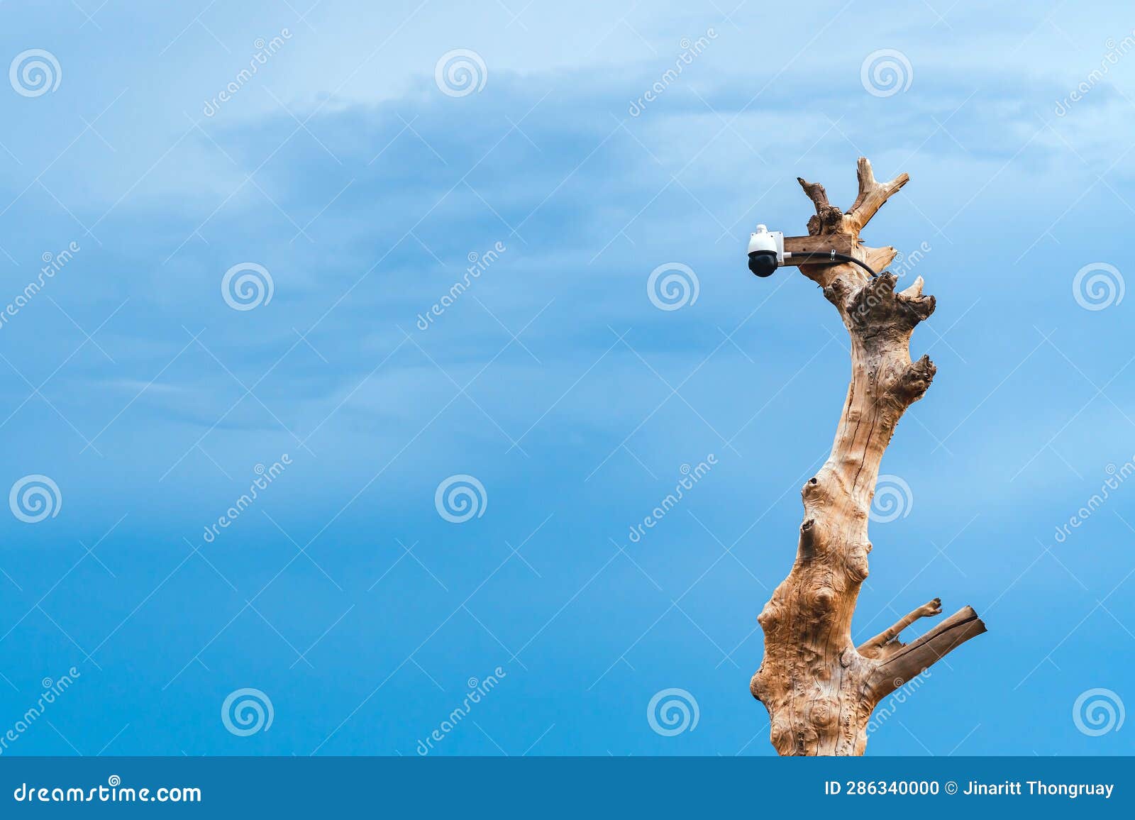 Closed Circuit Camera Multi-angle CCTV System Camera Installed on Dead ...