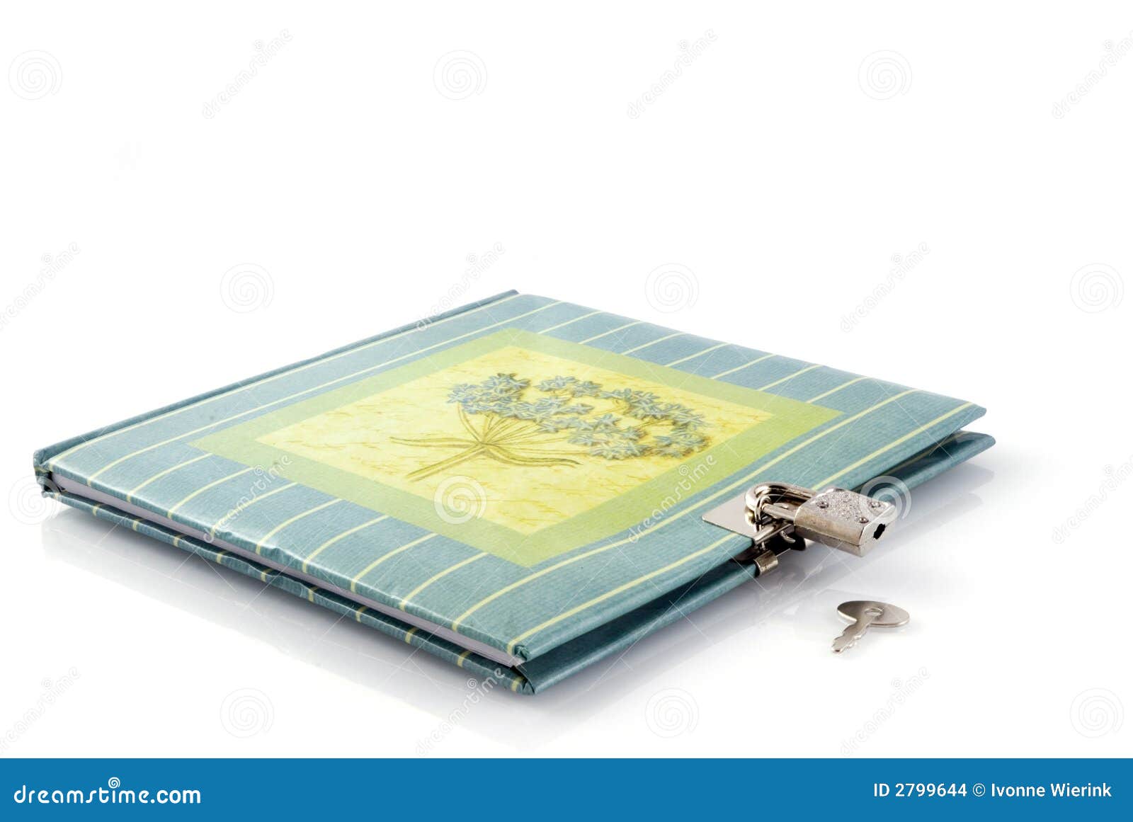 Closed diary stock photo. Image of locked, secret, romantic - 2799644