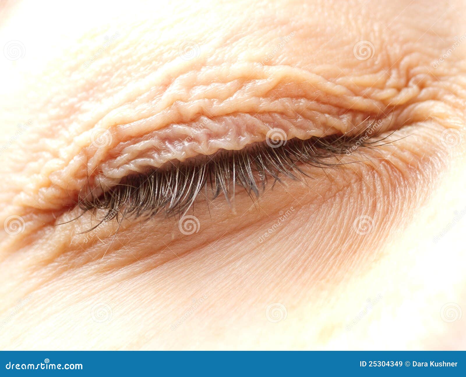 Closed Eye stock image. Image of wrinkled, horizontal - 25304349