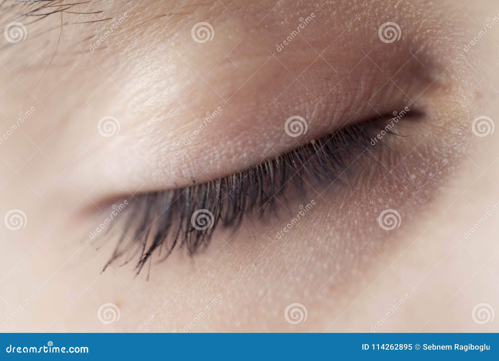 Closed eye close up view stock image. Image of eyelash - 114262895