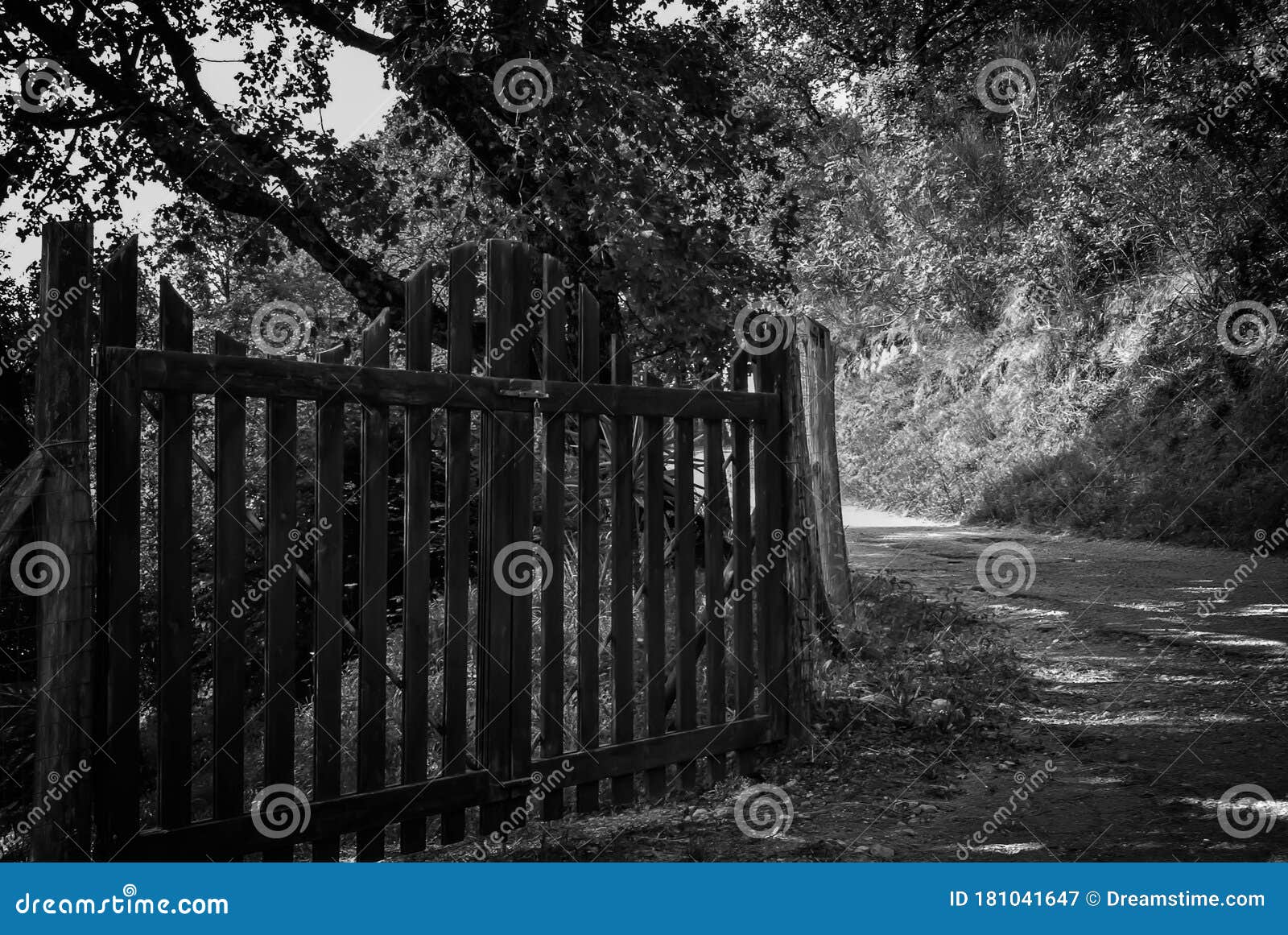 A closed gate stock image. Image of light, leaf, autumn - 181041647