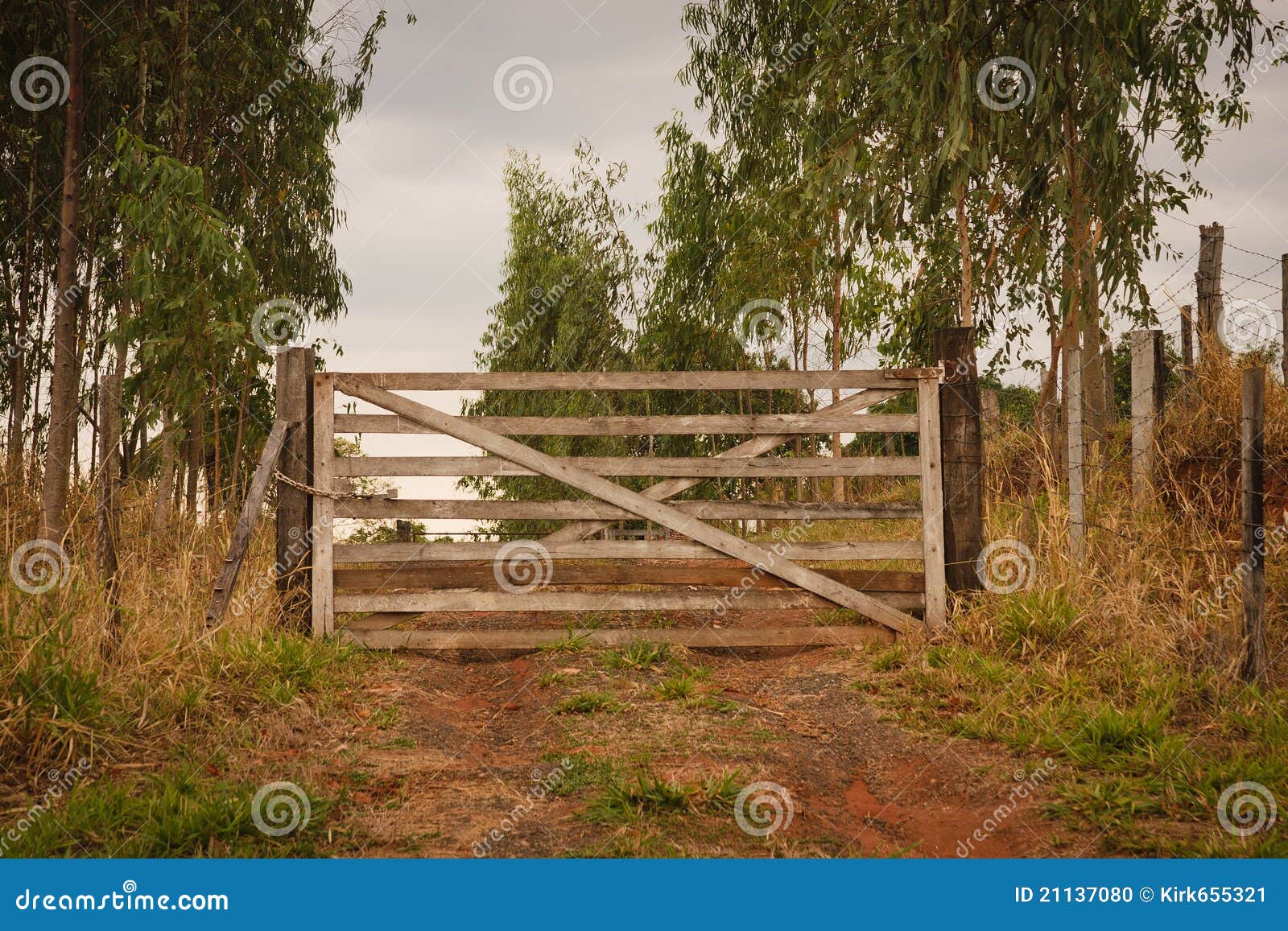 Closed Gate of farm stock photo. Image of entrance, gateway - 21137080