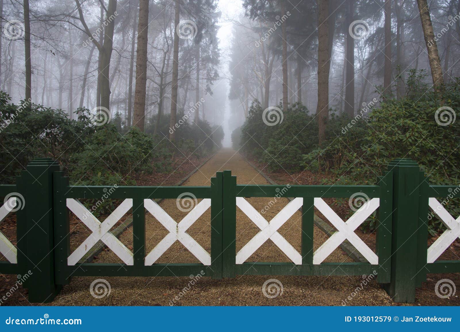 Closed Gate on Path in Misty Forest Stock Image - Image of gate, fence ...