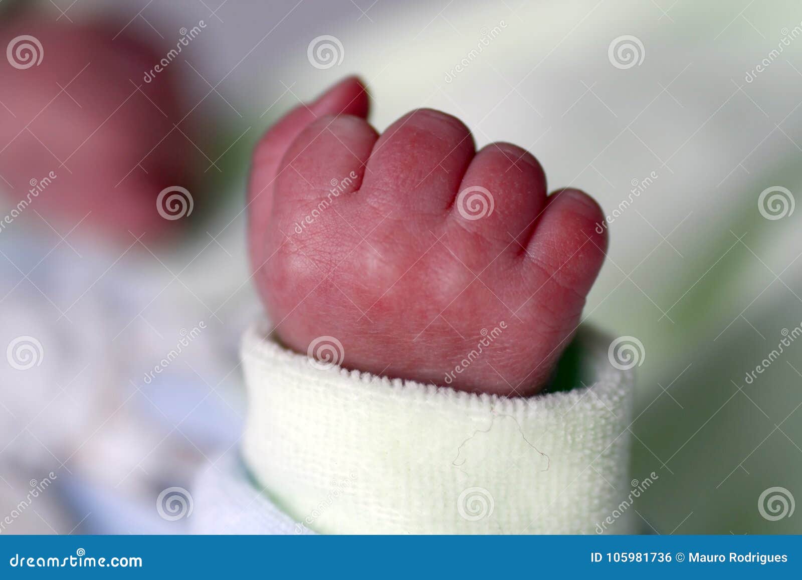 Closed hand stock photo. Image of pure, cute, macro - 105981736