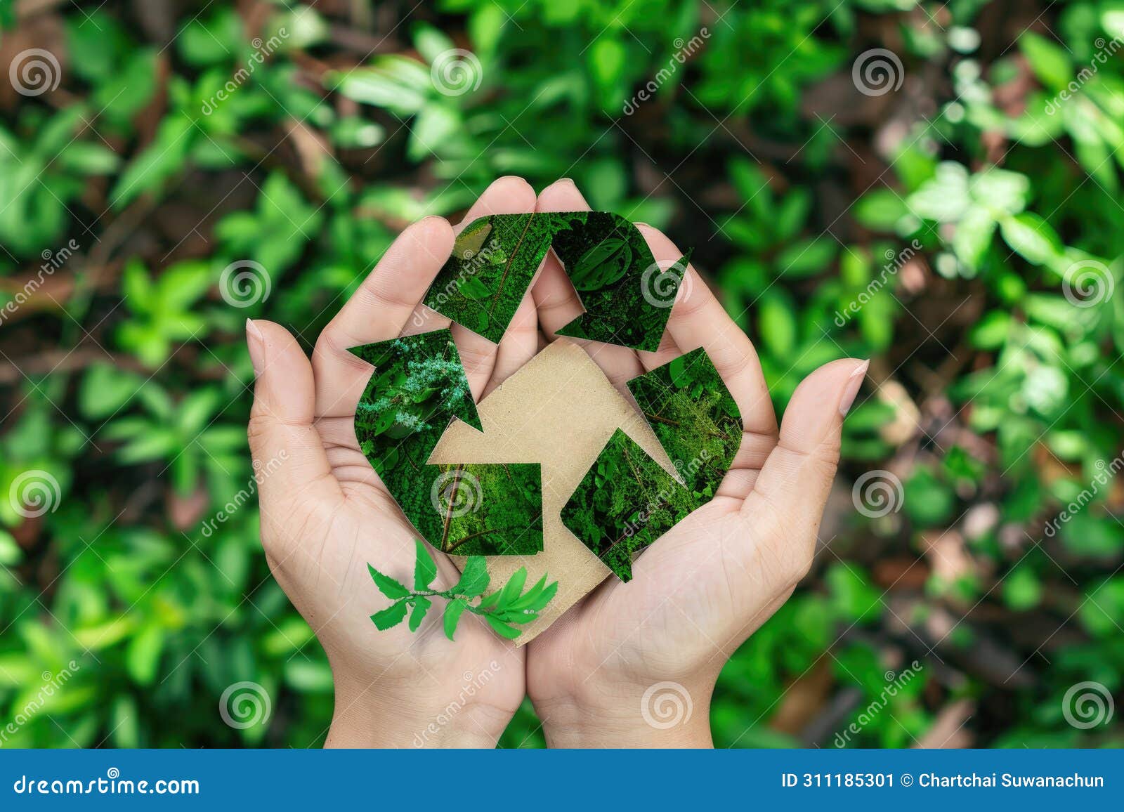 Closed Loop Manufacturing Processes and Product Stewardship Programs To ...