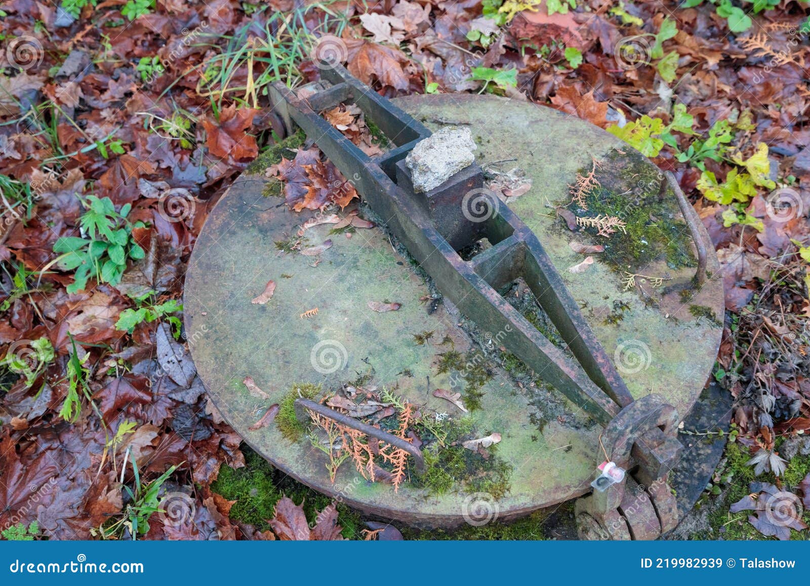 Closed Metal Hatch in the Fall with the Foliage Stock Image - Image of ...