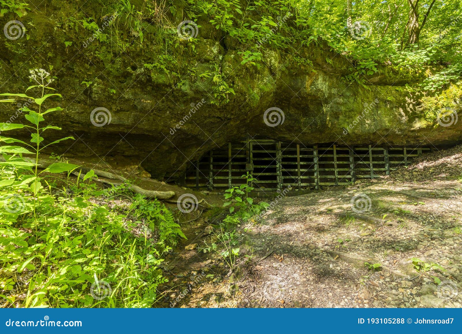 Cave in the Woods stock photo. Image of state, stone - 193105288