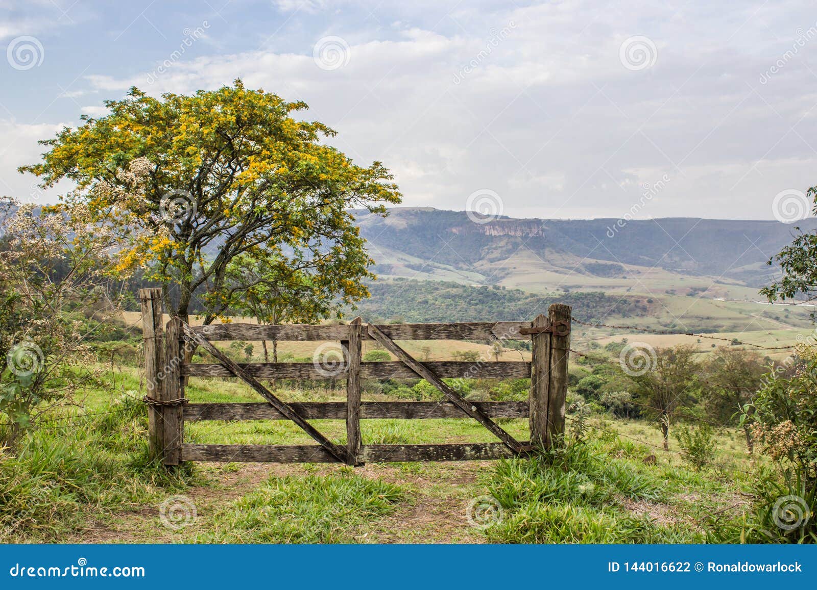 The closed path stock photo. Image of mountain, passage - 144016622