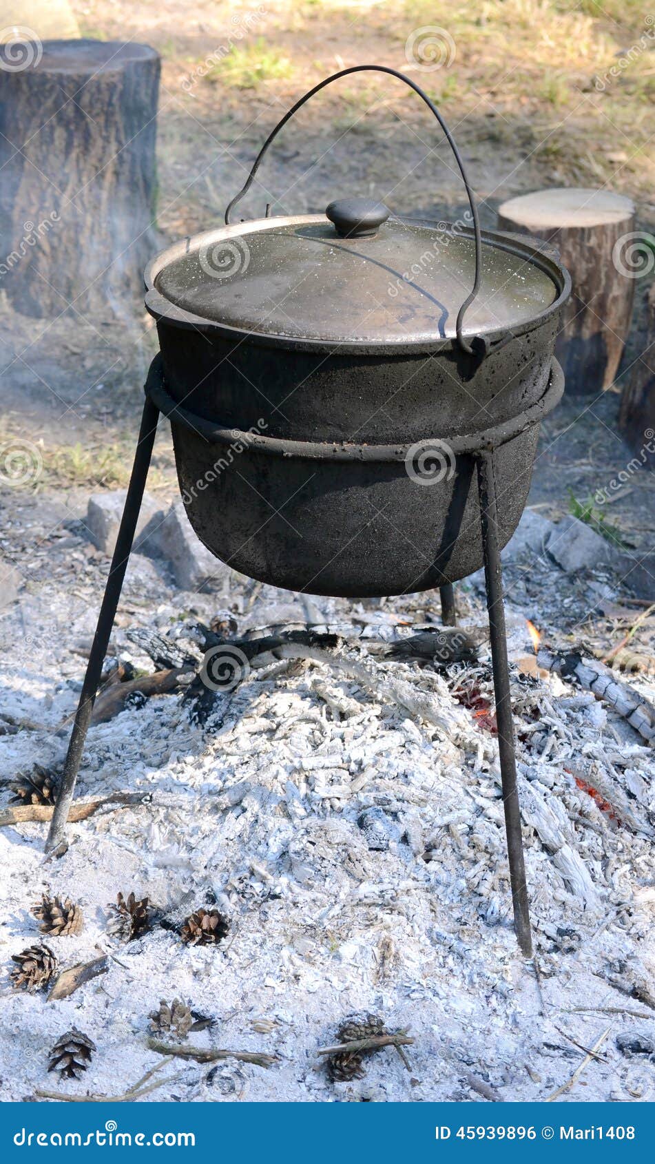 Closed pot, kettle stock photo. Image of round, forest - 45939896