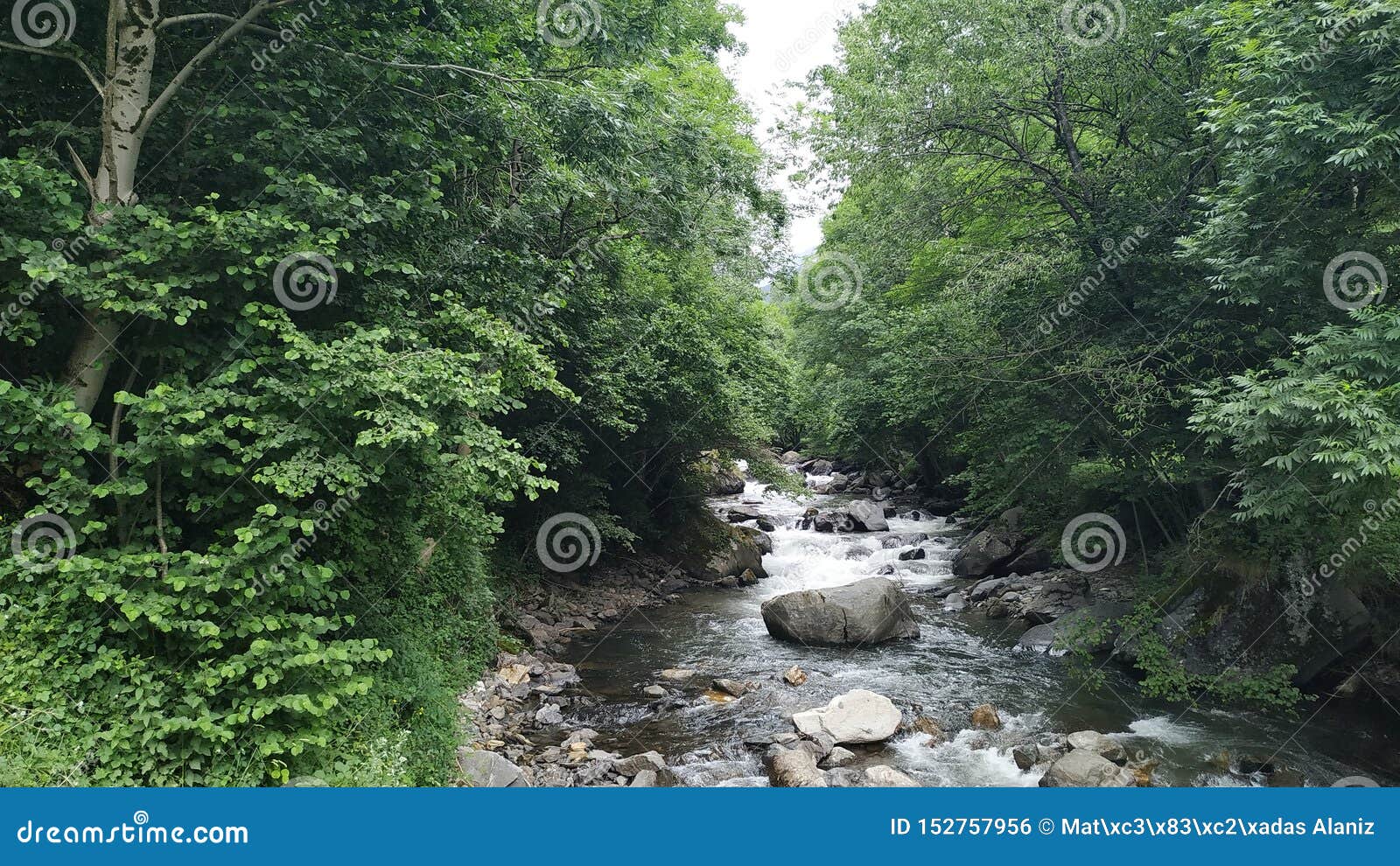The closed river stock photo. Image of river, trees - 152757956