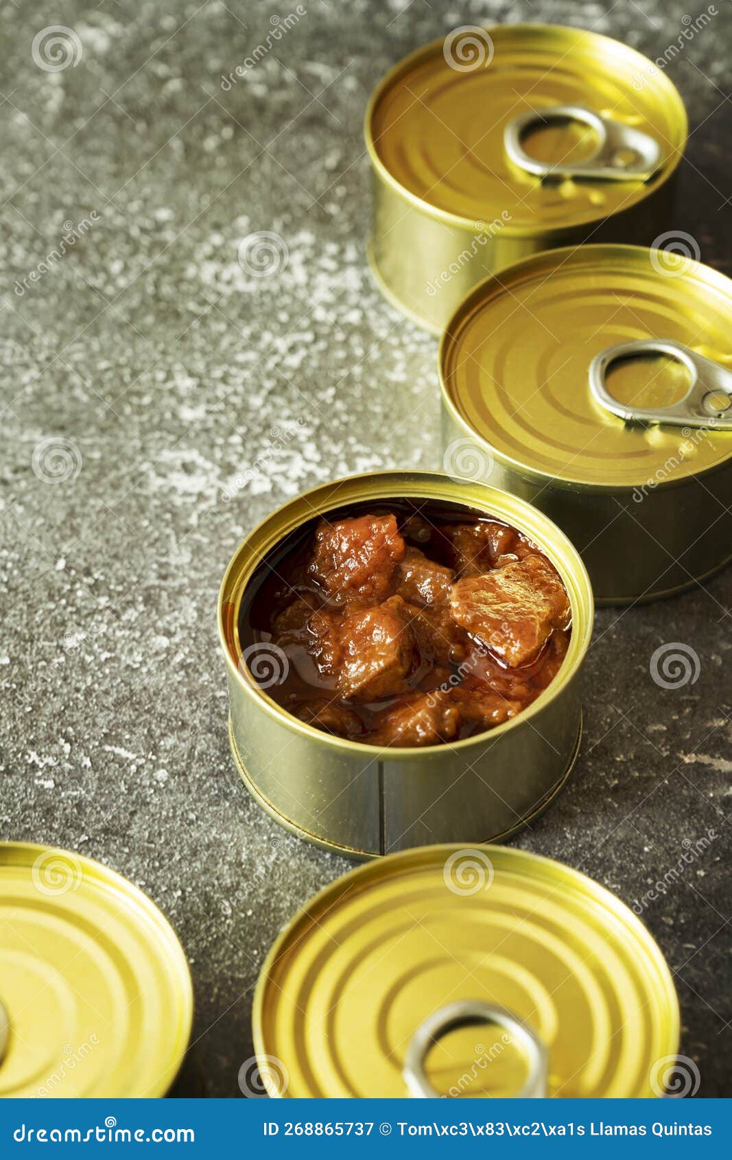 Closed Round Small Cans Except One with Pieces of Squid in Sauce on a ...