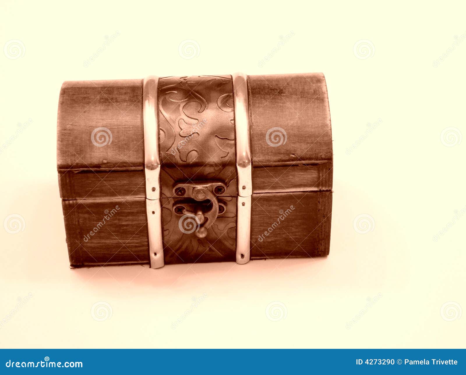 Closed Treasure Chest Picture. Image: 4273290