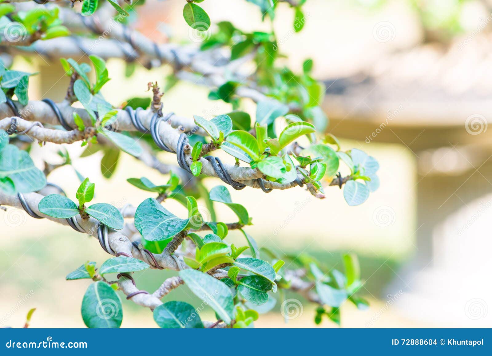 Closed Control Box For DX Coil Of Air Handling Unit In The Industrial ...