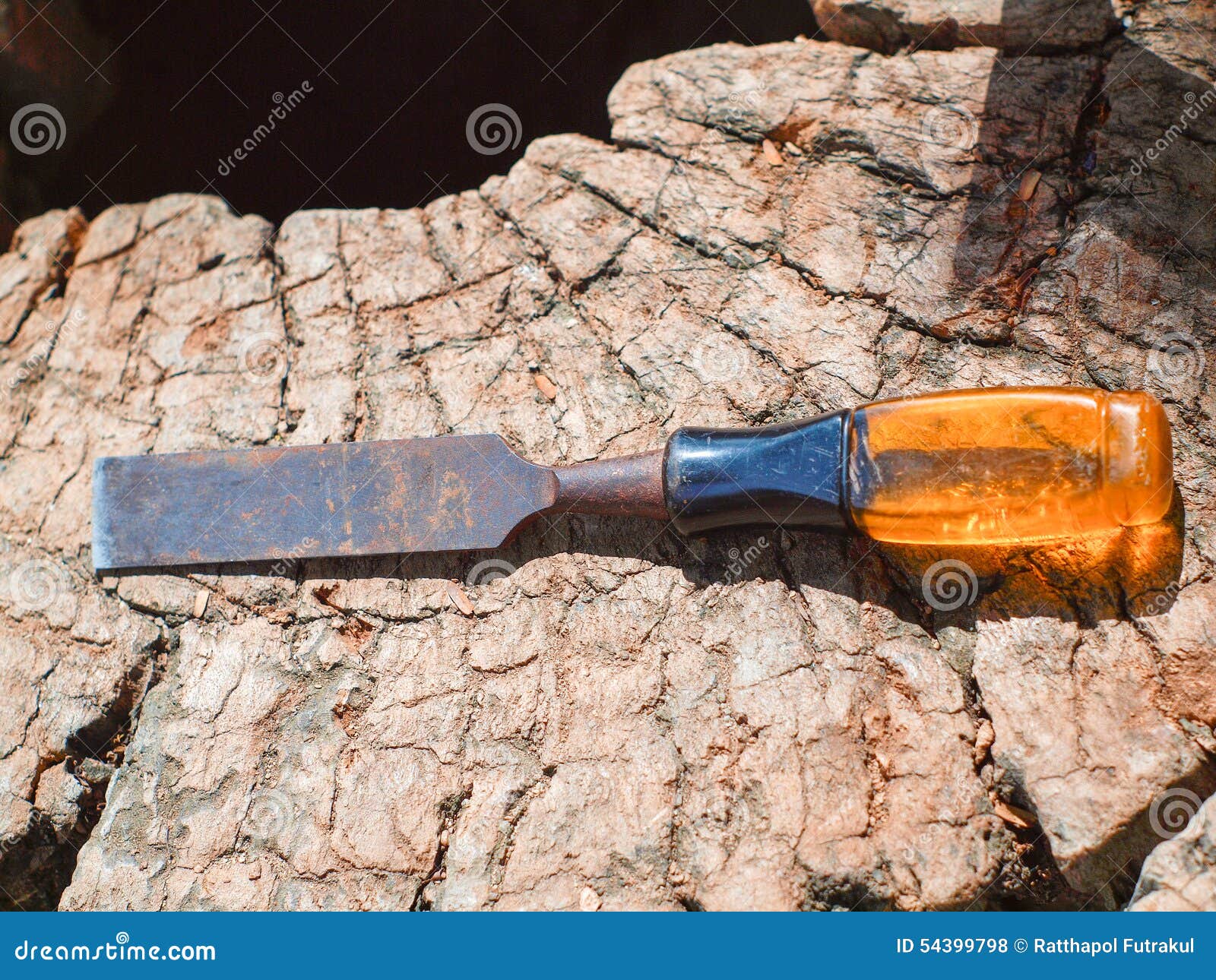 Closed Up Chisel Tree Stump Stock Photos - Free & Royalty-Free Stock ...