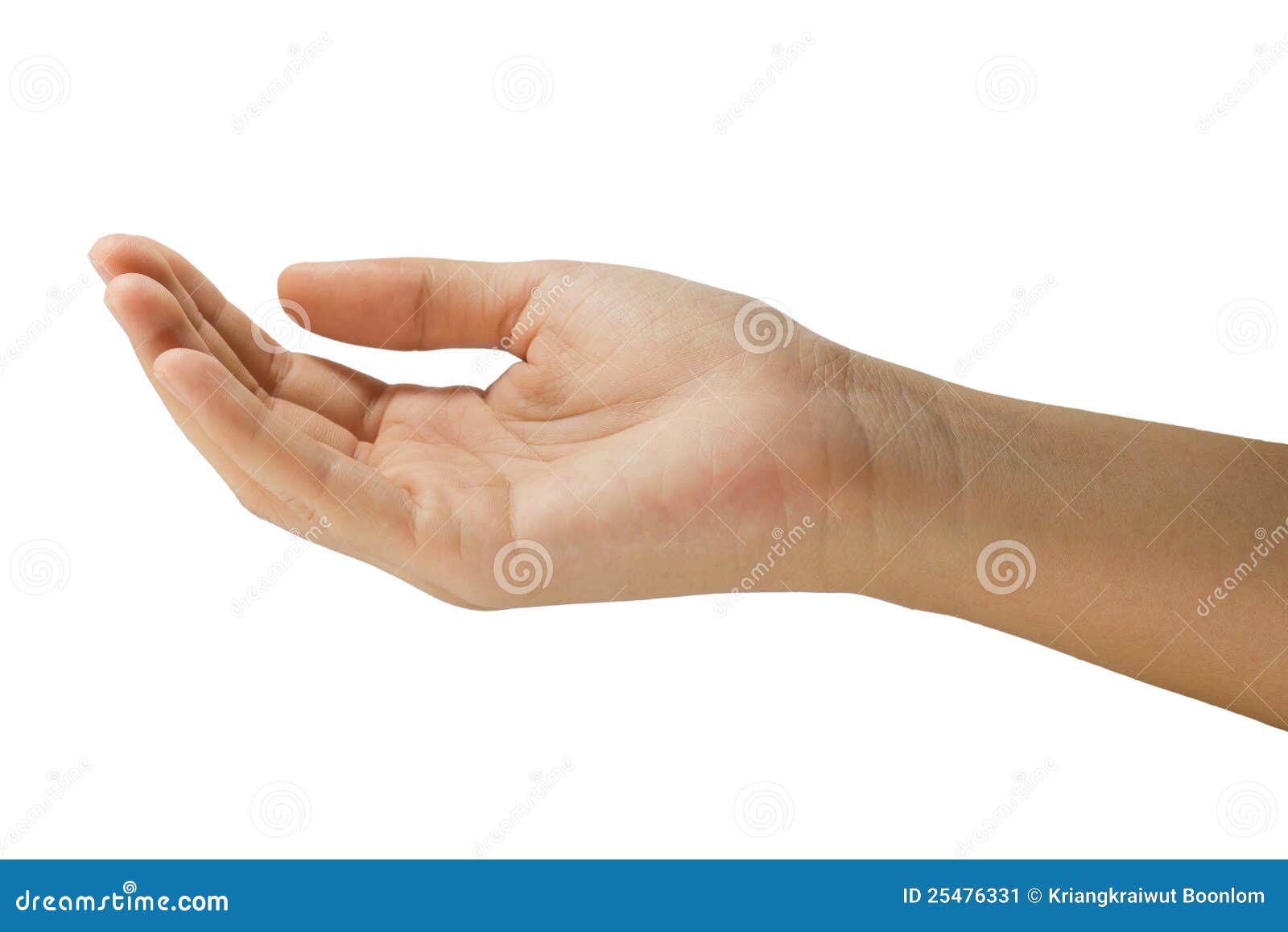 Closed-up palm up stock image. Image of beautiful, isolated - 25476331