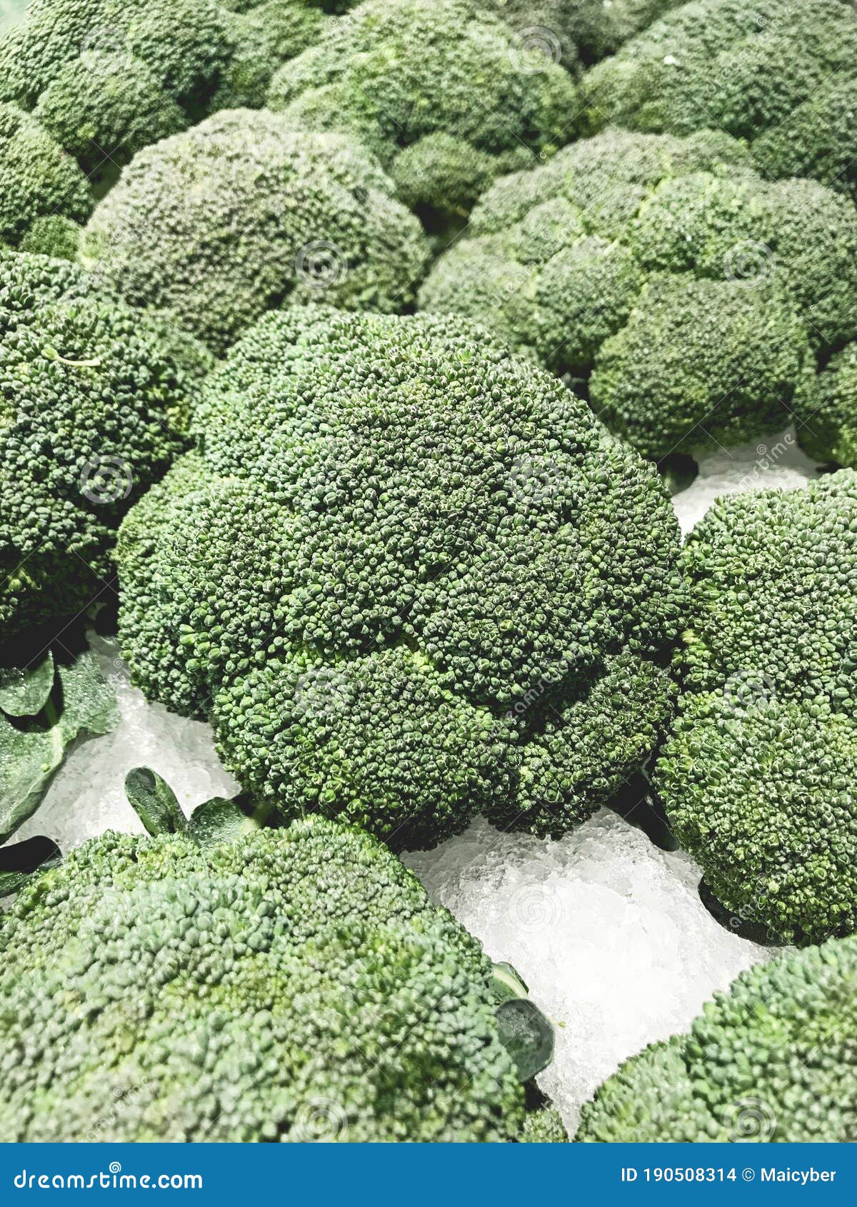 Closed up pile of Broccoli stock photo. Image of people - 190508314