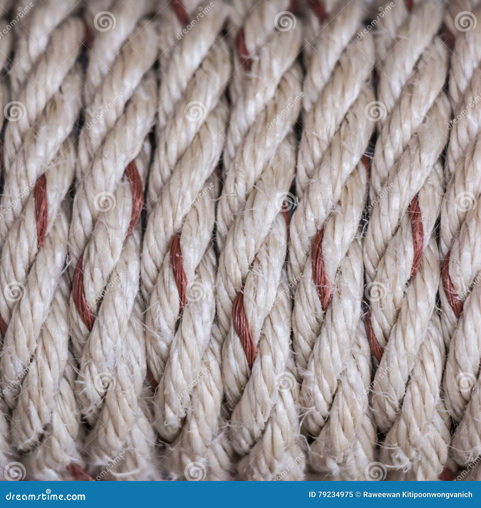 Closed-up of Pile New Ropes Stock Image - Image of ropes, rope: 79234975