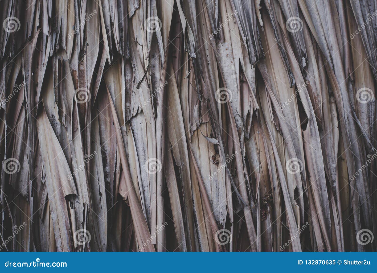 Closed Up of Thatch Texture Background. Wallpaper and Decoration Stock ...