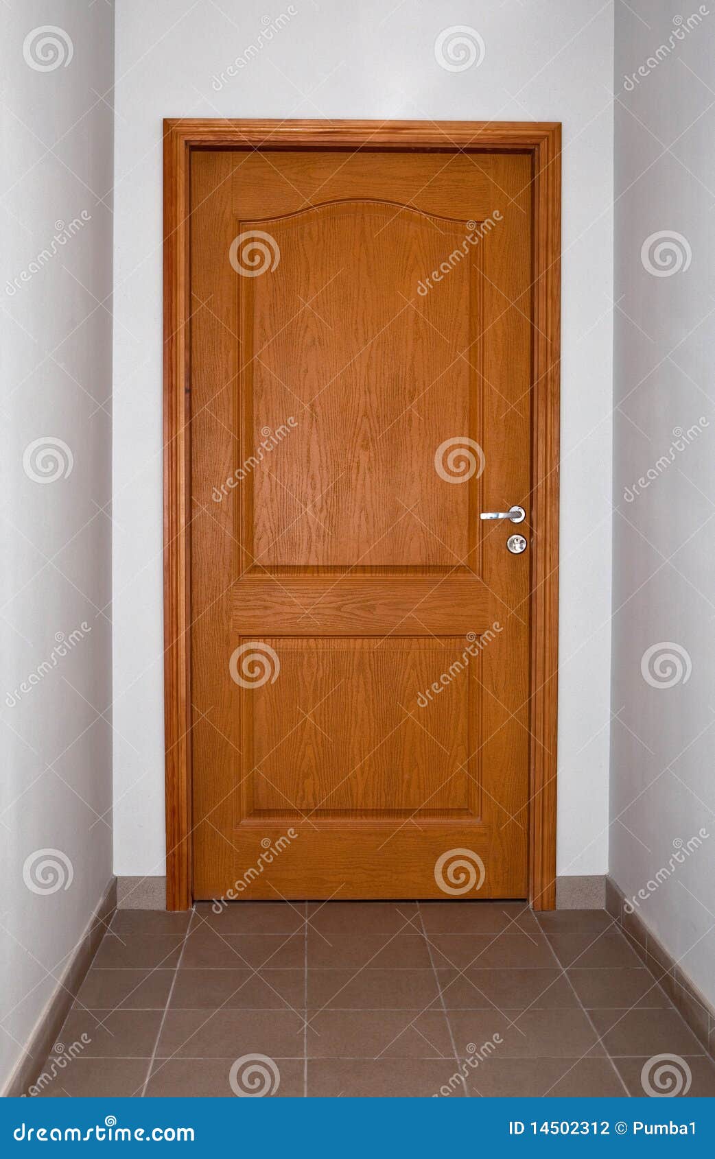 Closed wood door stock photo. Image of facade, enter - 14502312