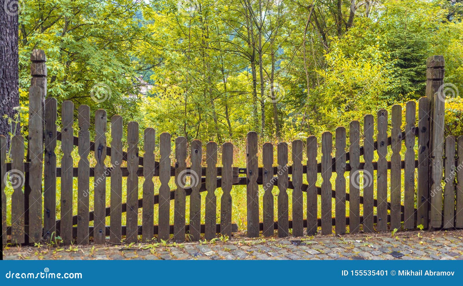 Closed Wooden Gate on a Forest Background Stock Image - Image of ...