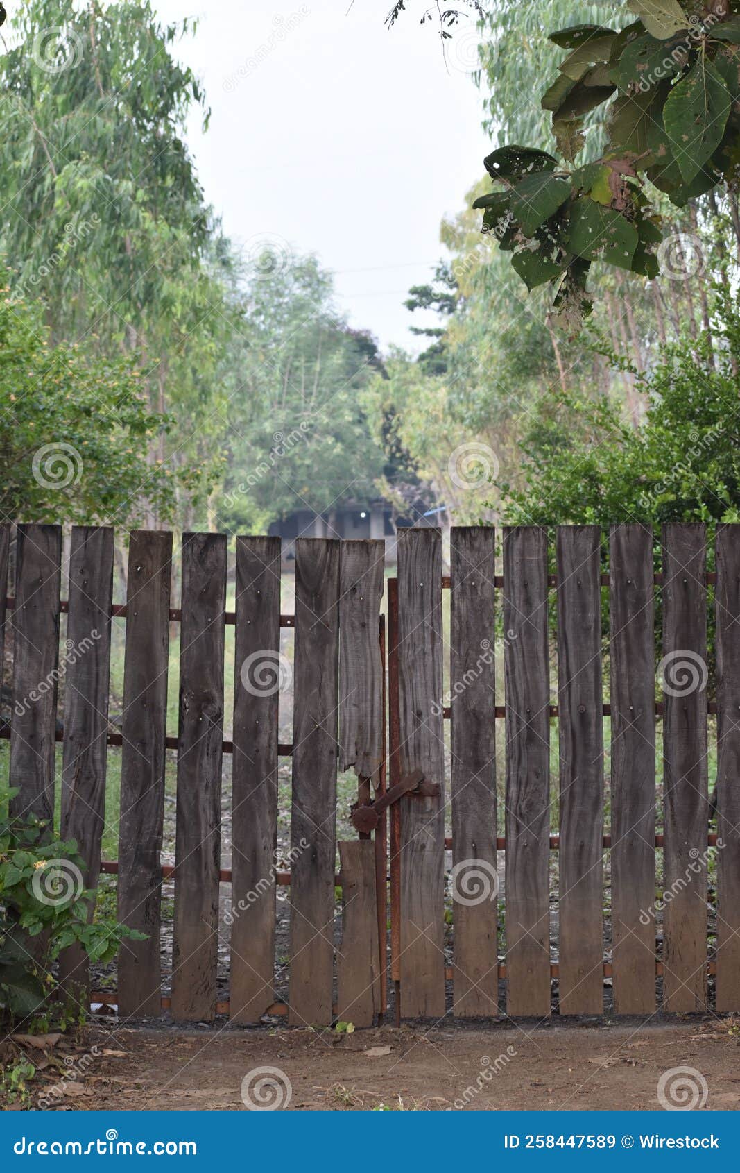 Closed Wooden Gate in a Rural Area Stock Image - Image of wood, gate ...