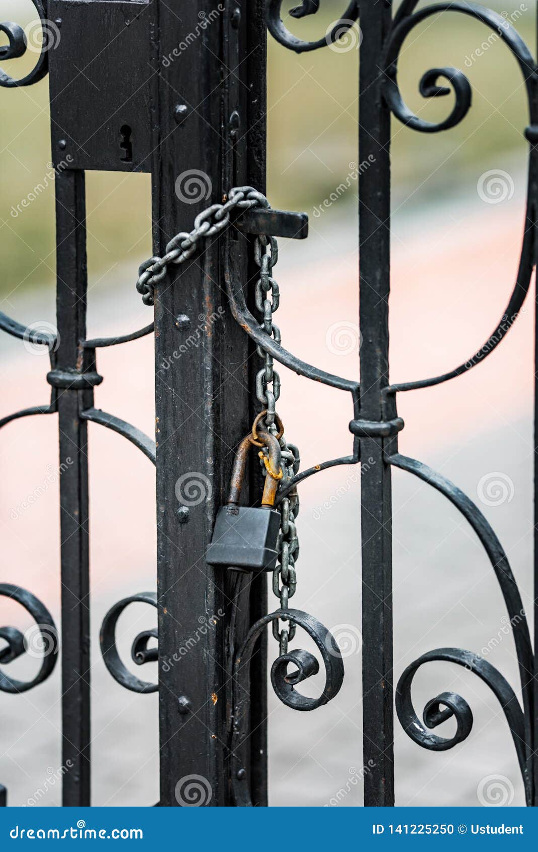 Gate To the Lock with a Chain Stock Photo - Image of lock, safe: 141225250