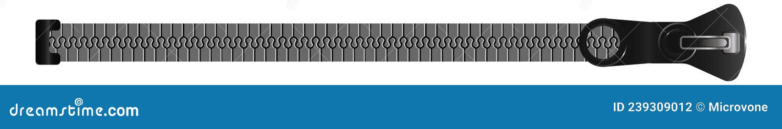 Closed Zipper. Clasp Locker Stock Vector - Illustration of fabric ...