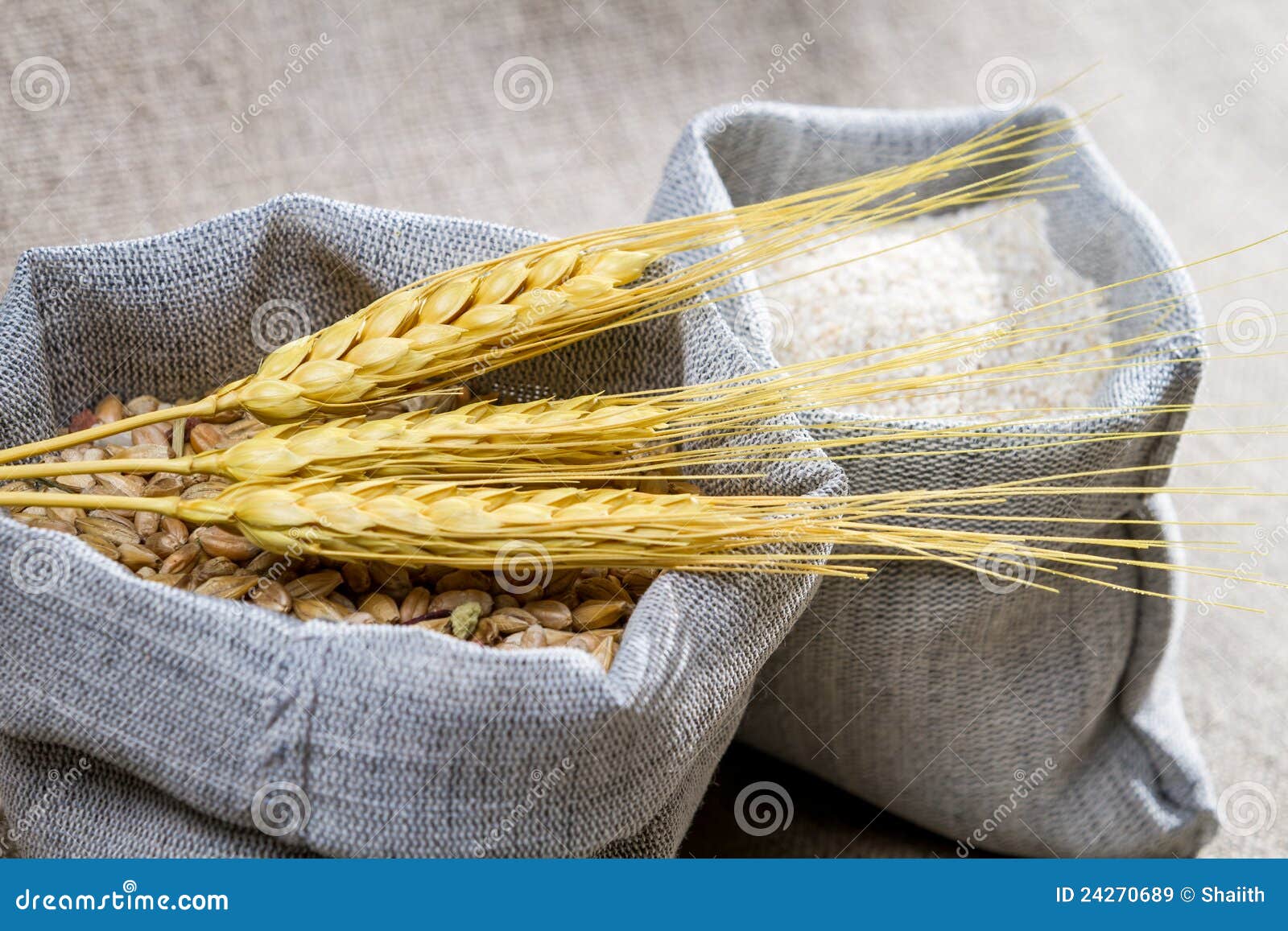 Closep Canvas Sack of Wheat Stock Image - Image of flour, close: 24270689