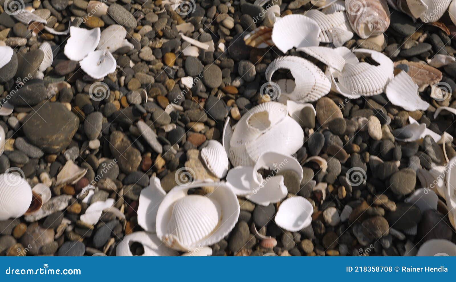Closer Look of the Broken Shells in Koijigahama Beach in Tahara Japan ...