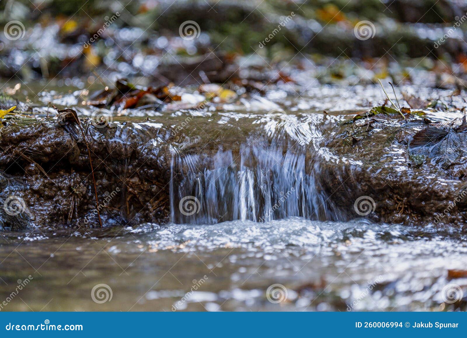A Closeup of Cascade of Small Waterfall Formed on Forest Creek Stock ...