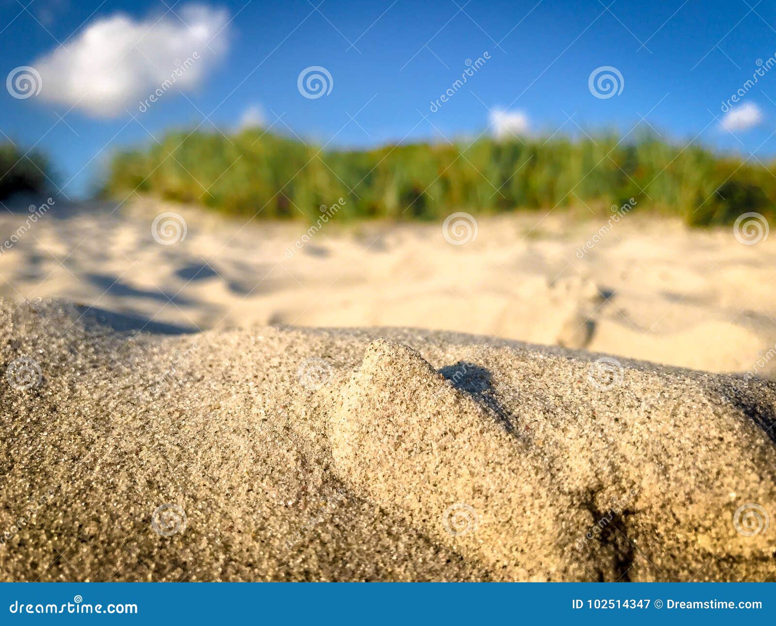 Sand on the beach stock image. Image of gass, sand, brown - 102514347