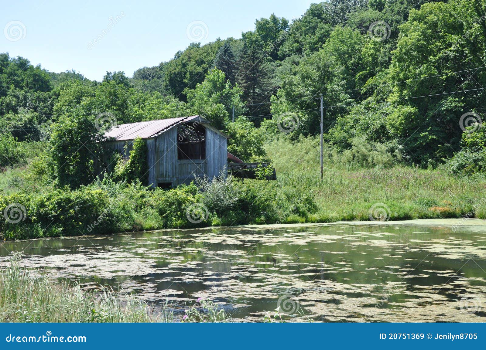 Closer Old Barn by Pond stock image. Image of leaves - 20751369