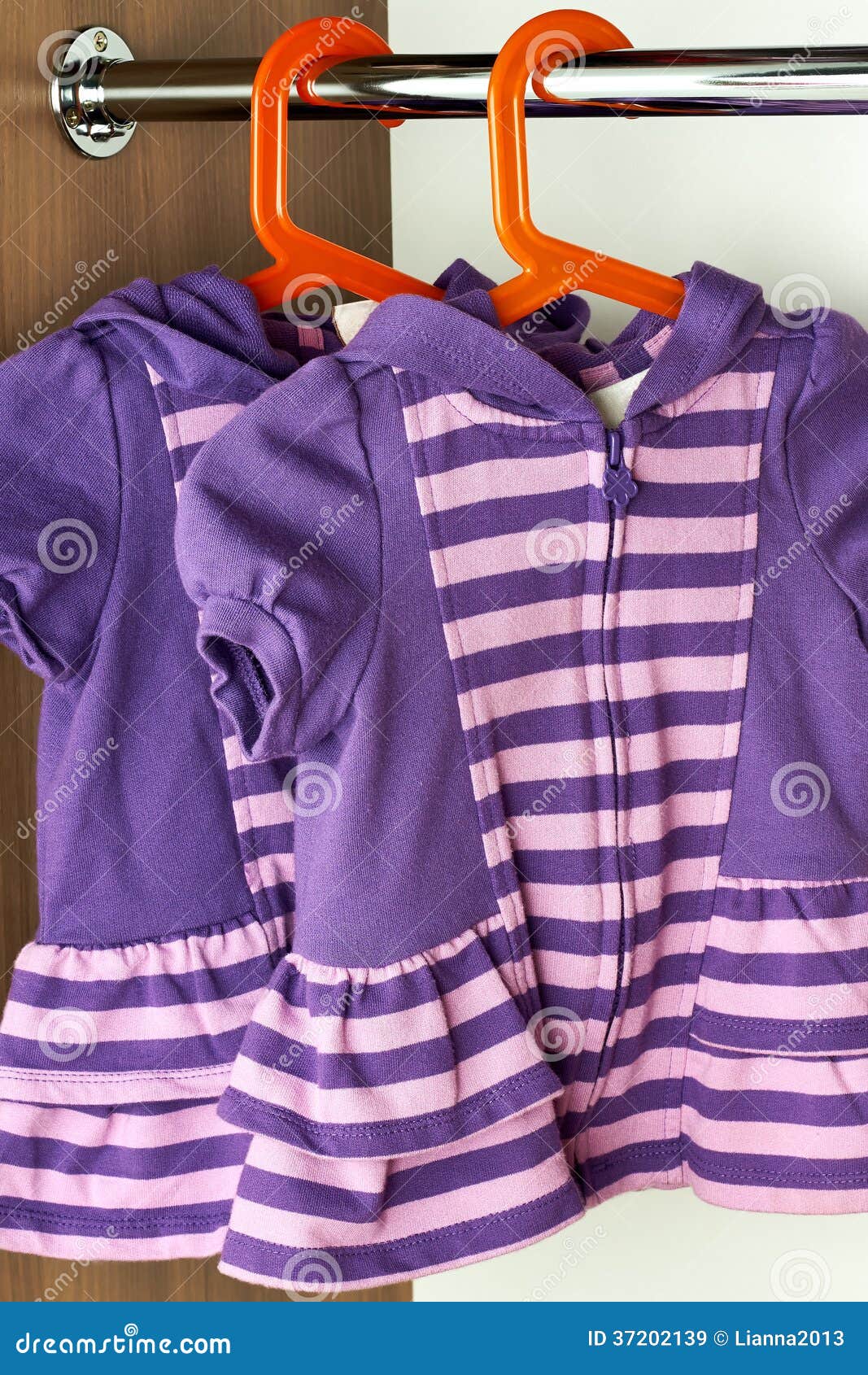 Closet with Two Identical Dresses Stock Image - Image of fashion ...
