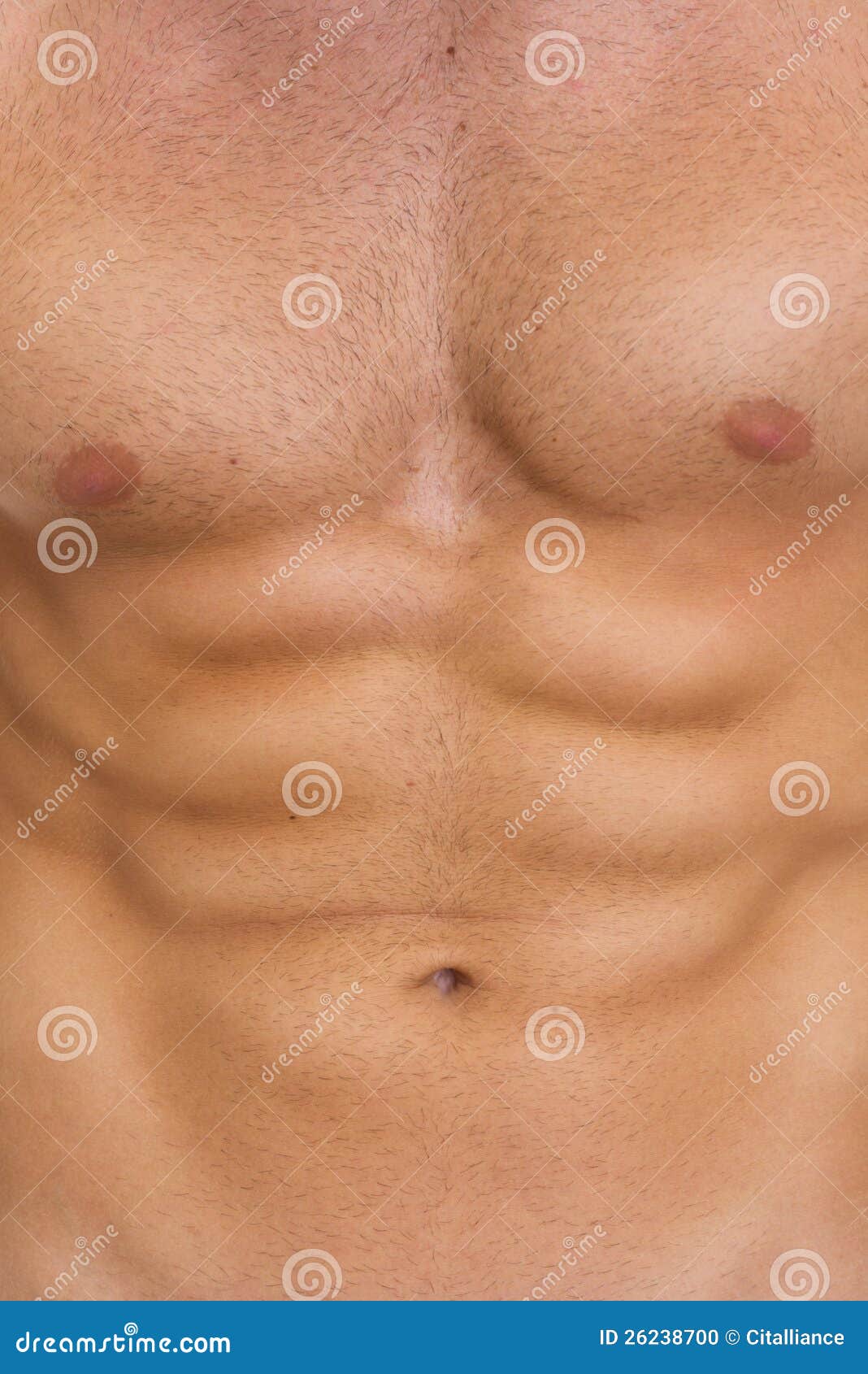 Closeup on Abdominal Muscles Stock Photo - Image of body, healthy: 26238700