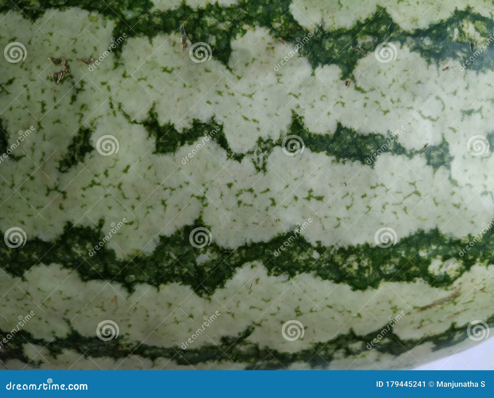 Closeup of Texture and Pattern of Water Melon Fruit Outer Skin Stock ...