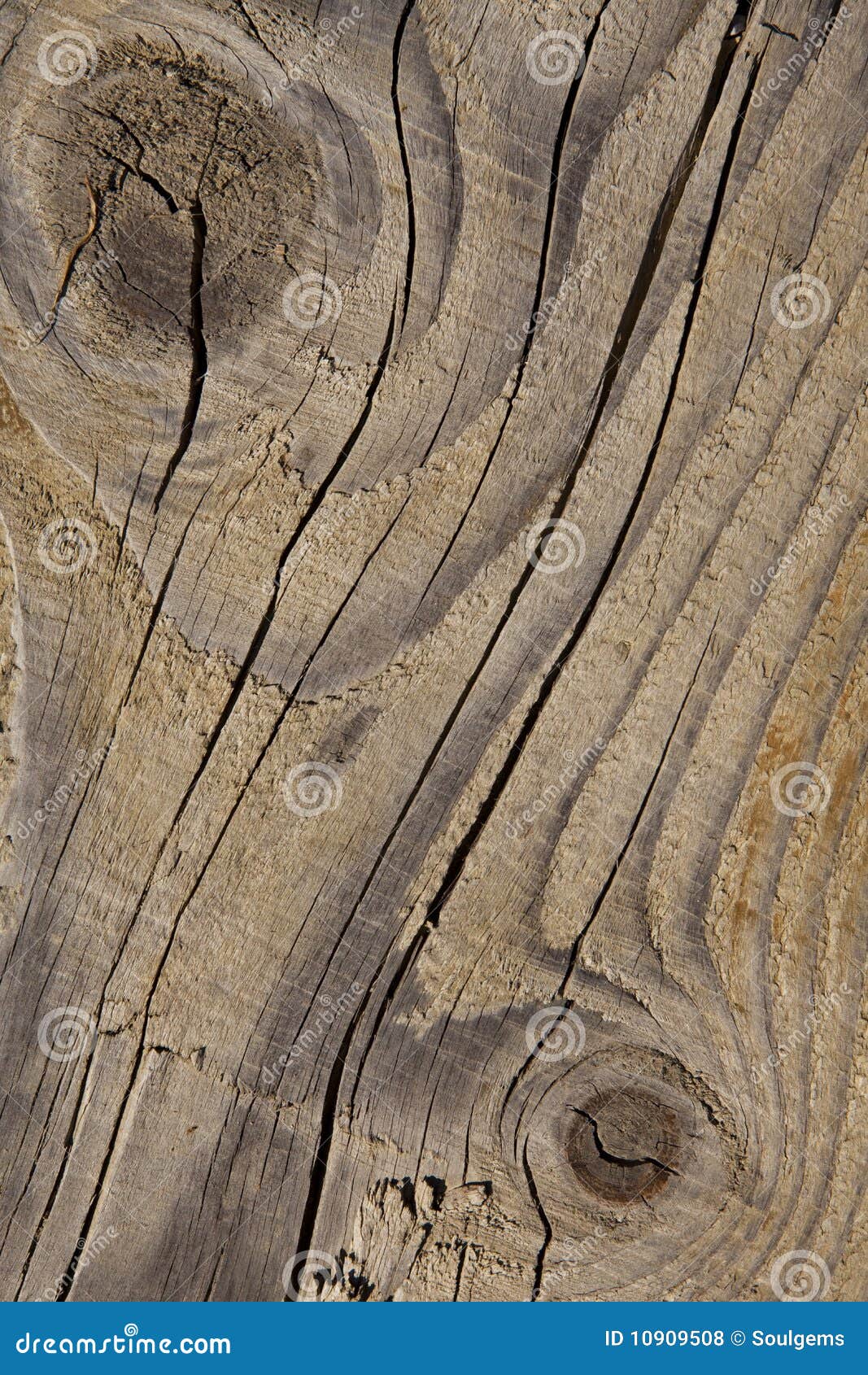 Closeup of Aged Texture Background Stock Photo - Image of snag, tree ...