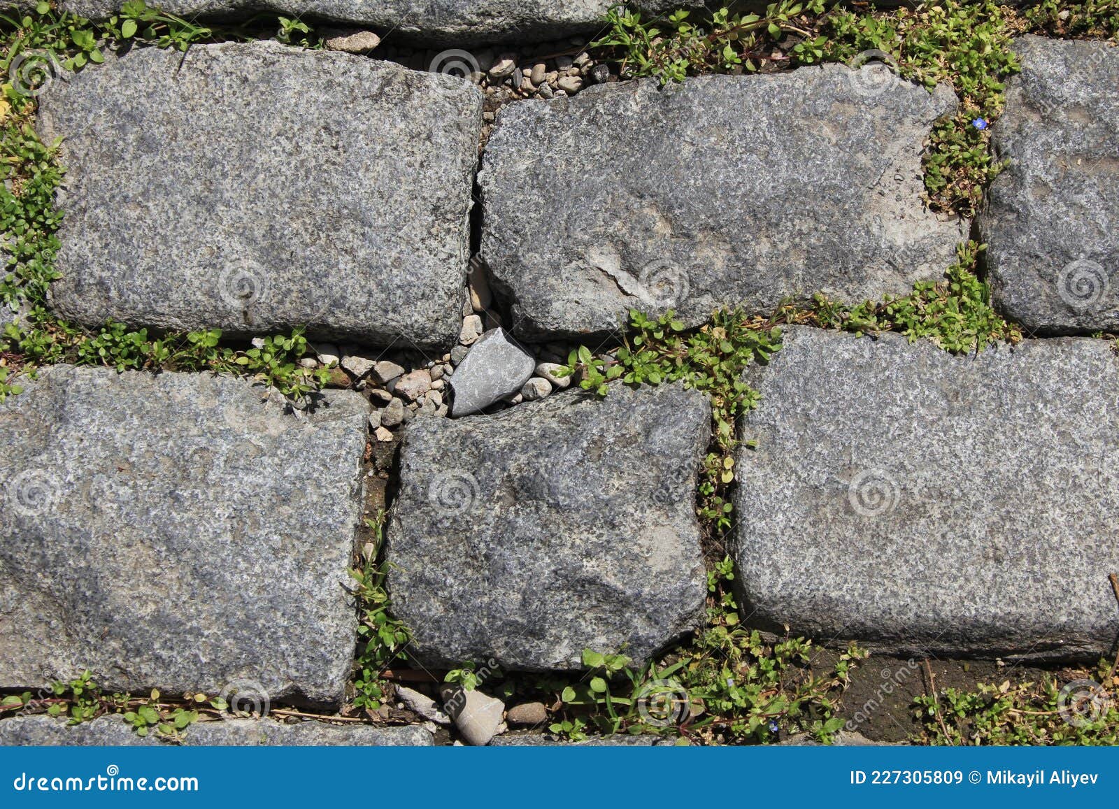 Closeup of Ancient Grey Stone Path with Moss Stock Image - Image of ...