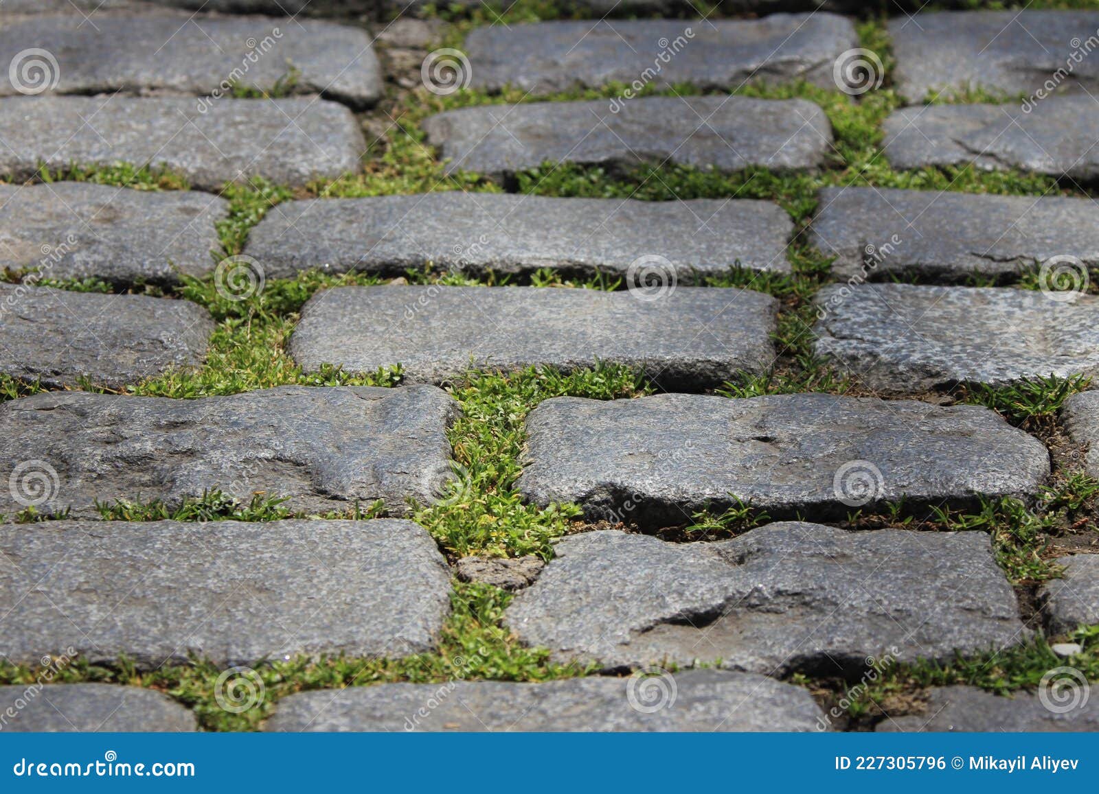 Closeup of Ancient Grey Stone Path with Moss Stock Photo - Image of ...