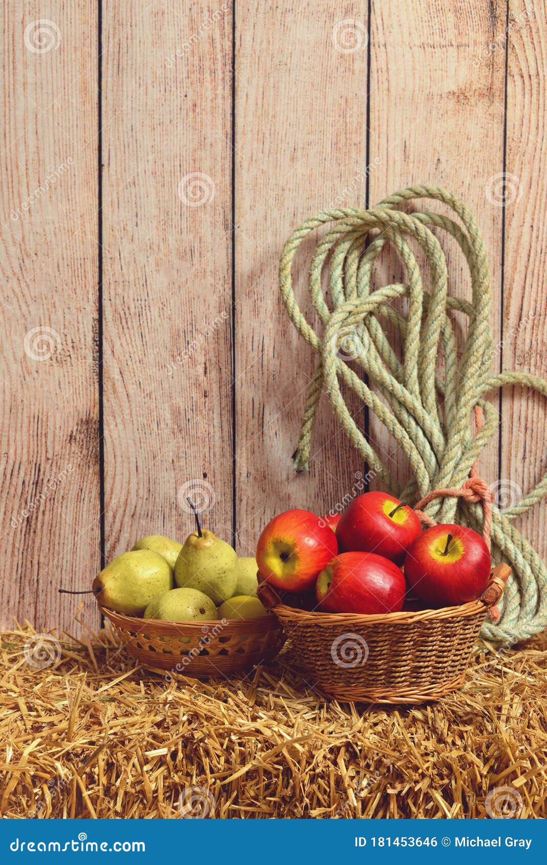 Closeup Apples and Pears in Basket on Hay Bale Stock Photo - Image of ...